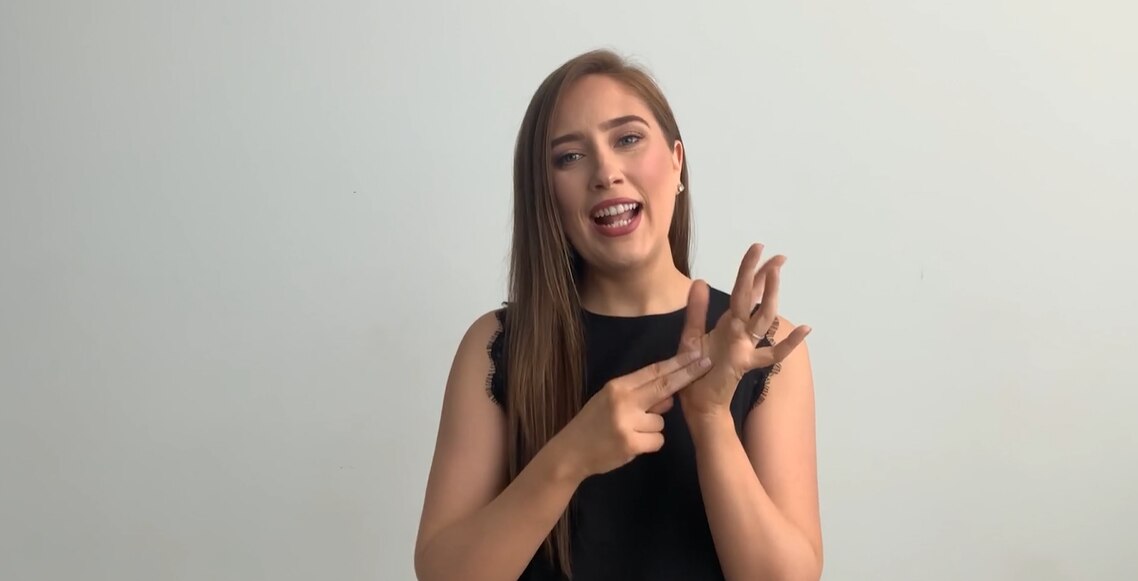 How Auslan gave Pink fans the ultimate concert experience - ABC listen