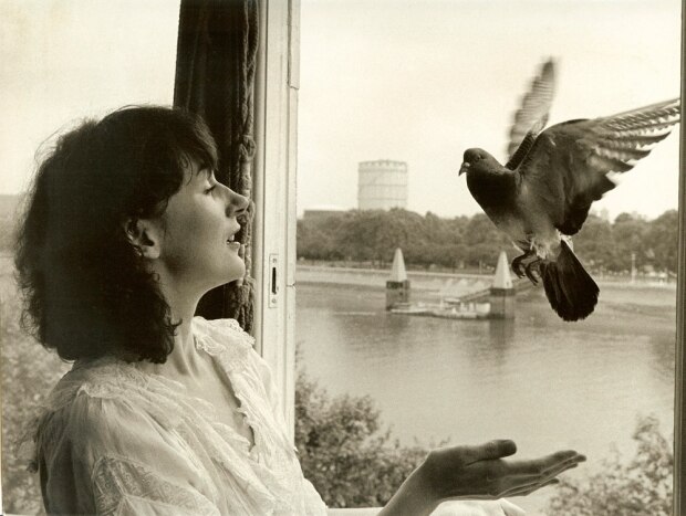 Amanda Feilding has spent 54 years experimenting with psychedelics ...