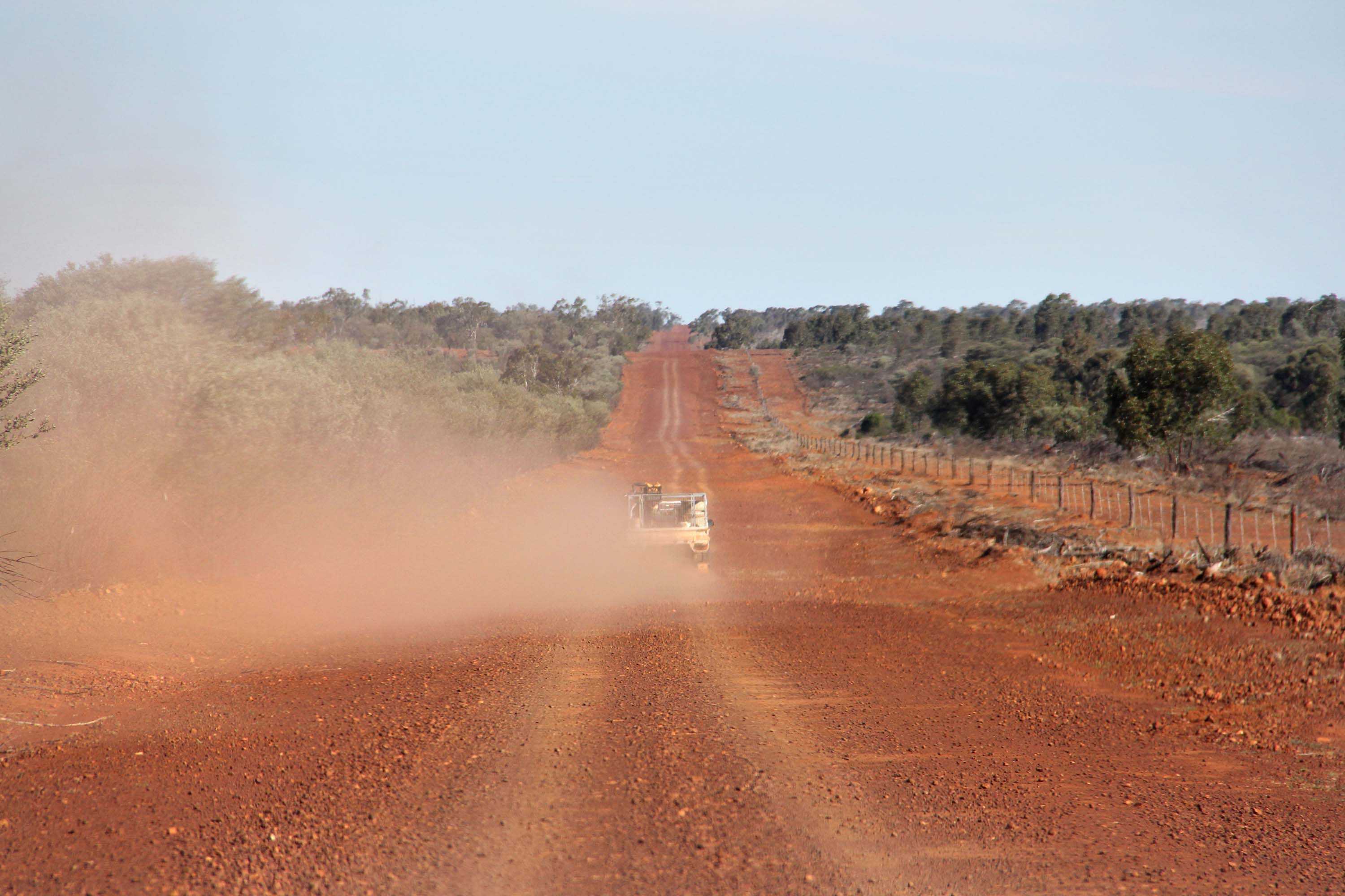 Study finds on-farm deaths could be halved through simple safety ...