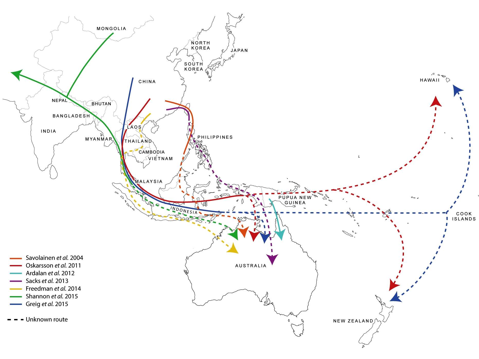 New study homes in on dingo origin and looks to ancient DNA for ...