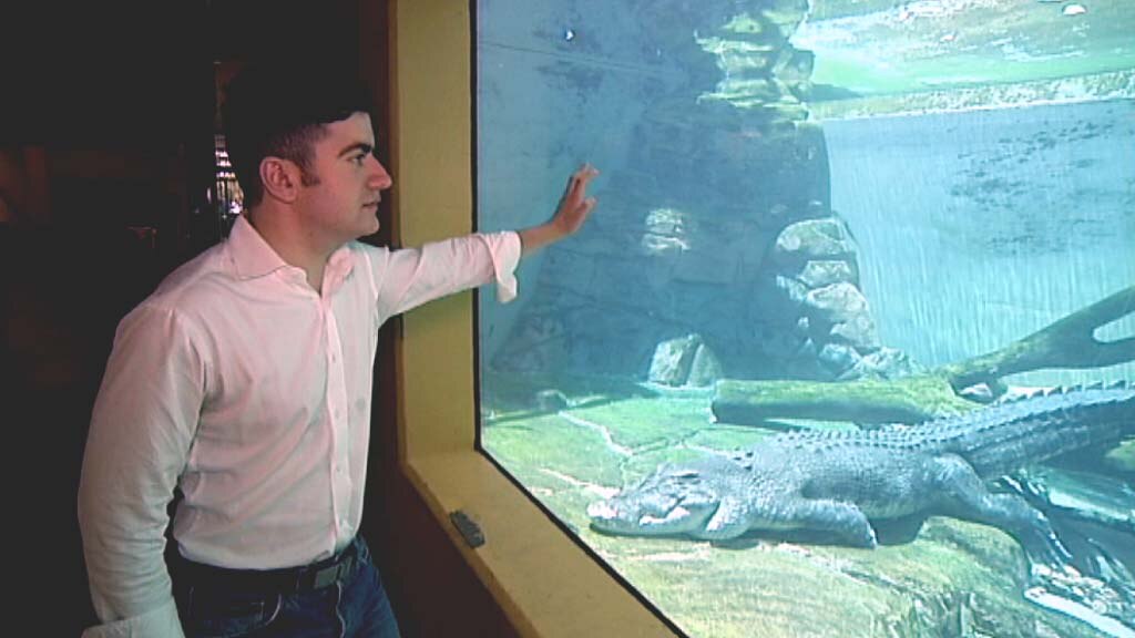 Sam Dastyari calls on NT's Adam Giles to 'man up' and front senate ...