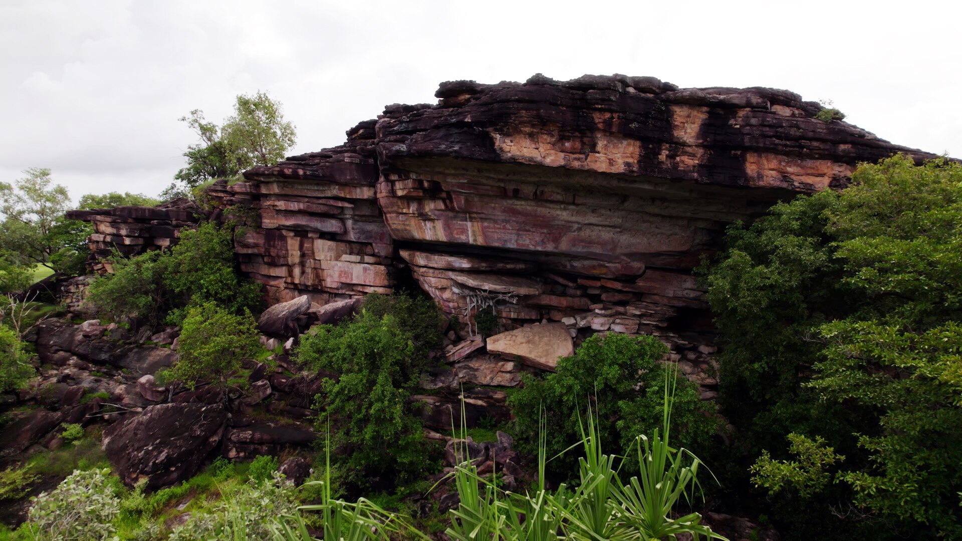 First Nations people and megafauna - ABC Education