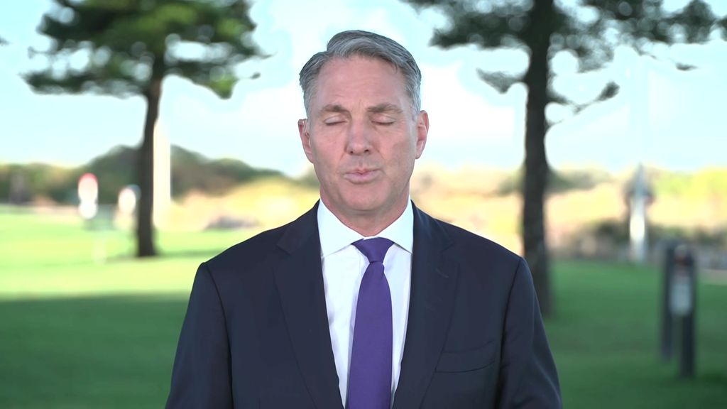 Richard Marles discusses providing support to Ukraine - ABC News