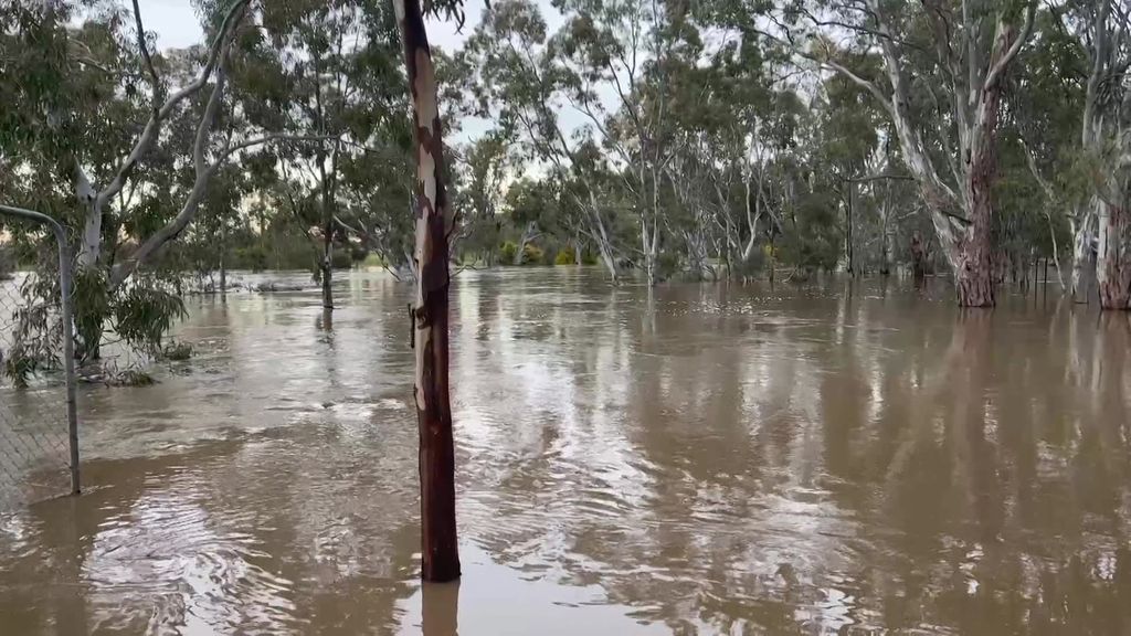 'Nervous time' for Horsham residents as Wimmera River water levels ...