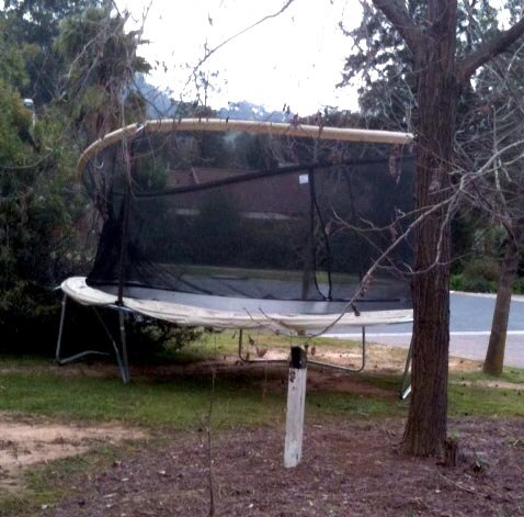 Wild winds keep rescue authorities busy - ABC News