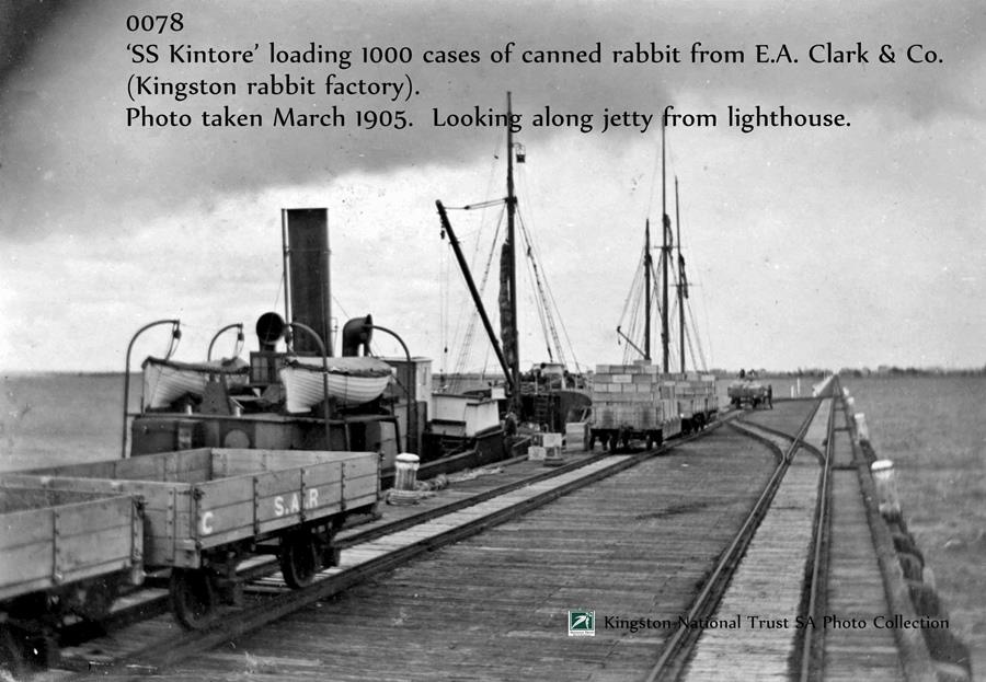 Canned rabbit, once a dinnertime delicacy, now consigned to the burrows ...