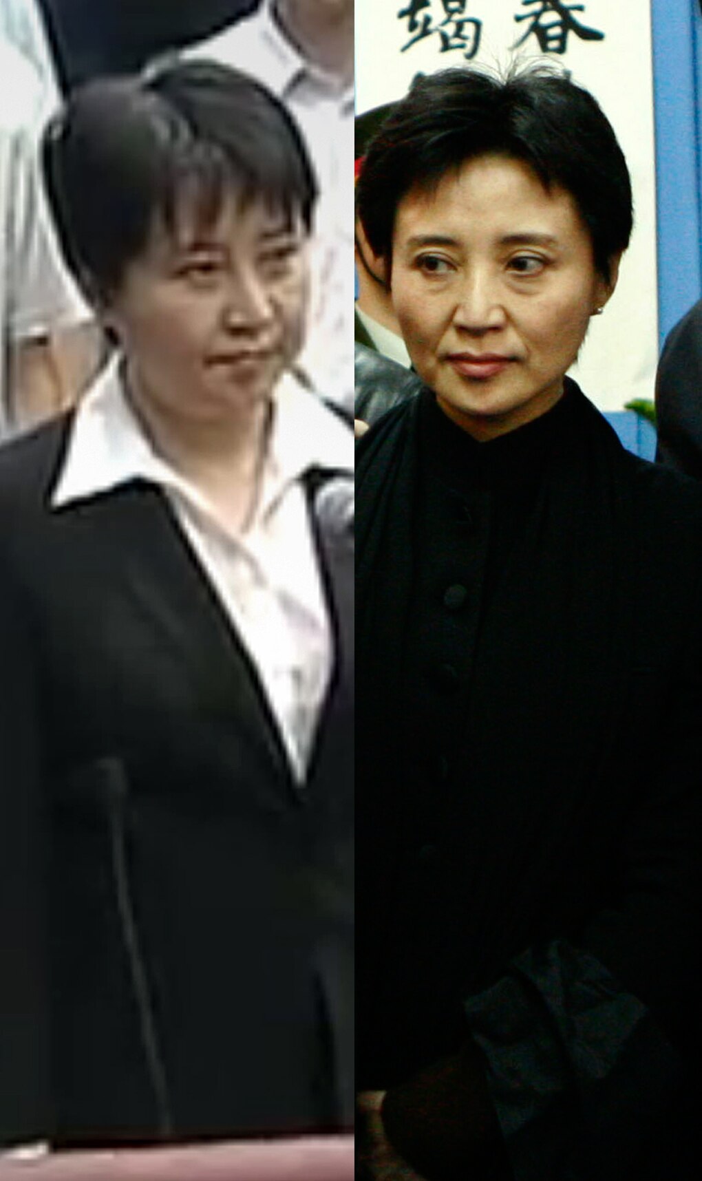 China clamps down on Gu body-double rumours - ABC News