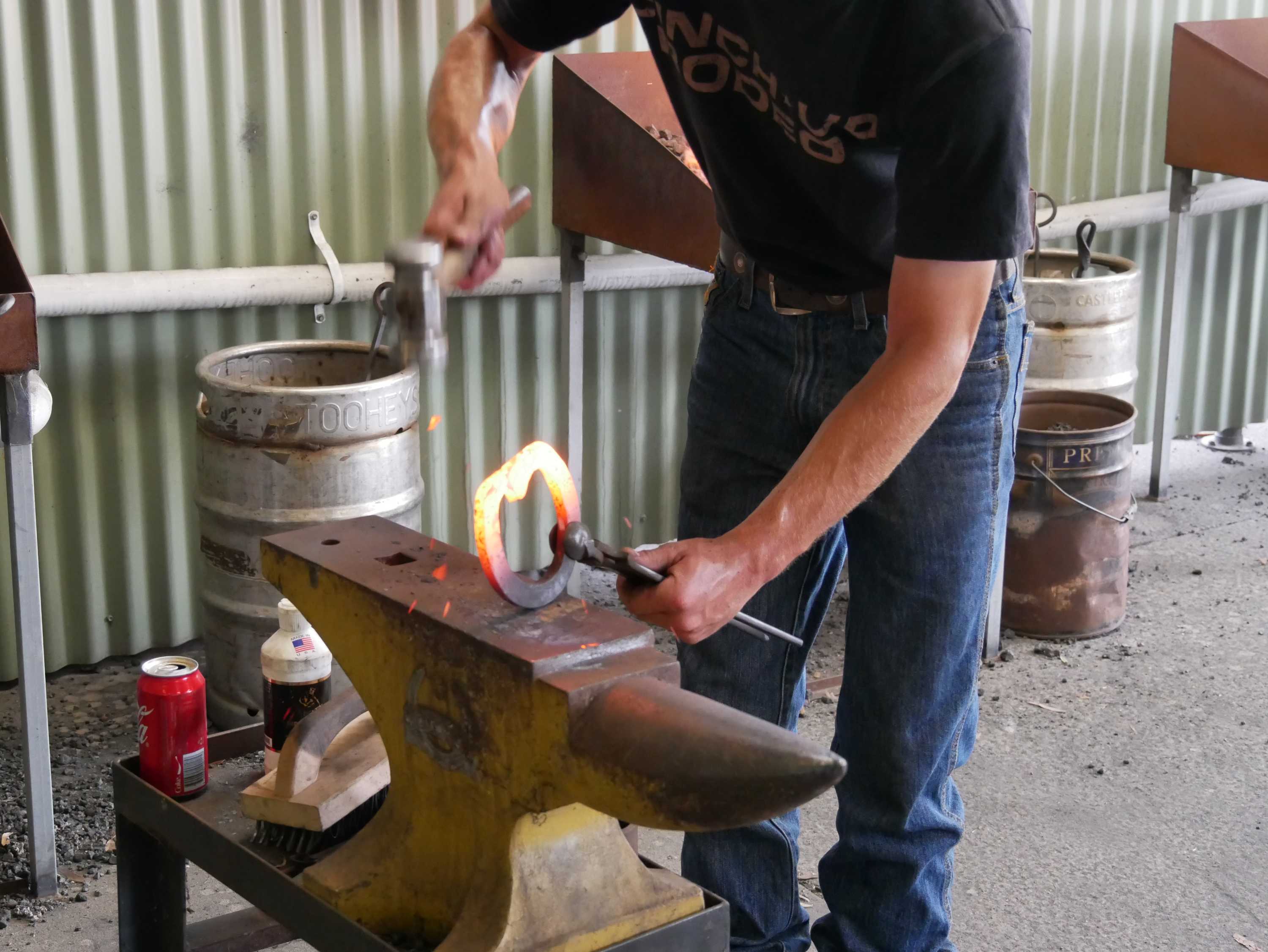 Scone TAFE campus sale is concerning for future of agricultural ...