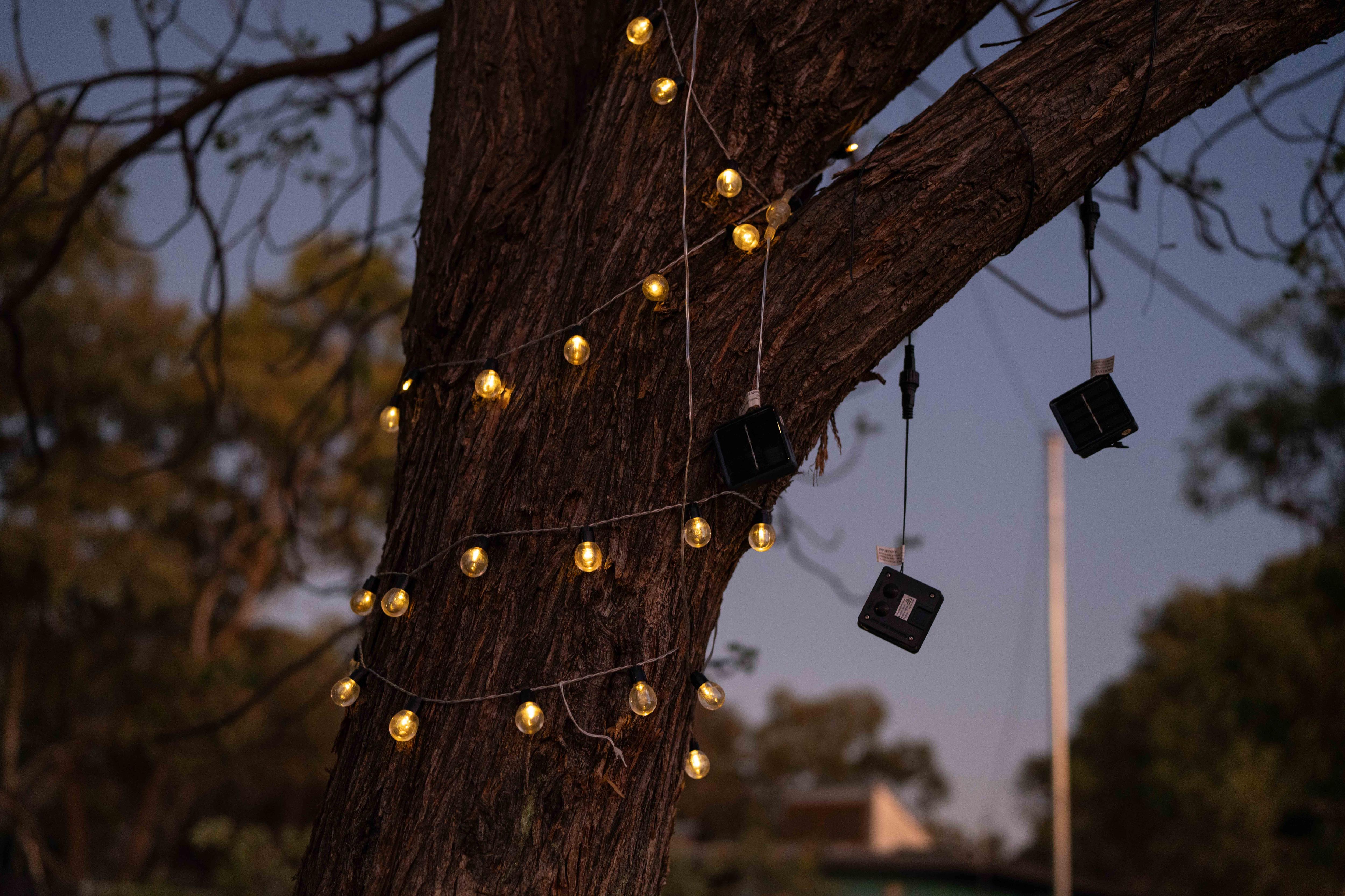 On the edge: Life and love inside Alice Springs’ most infamous ...
