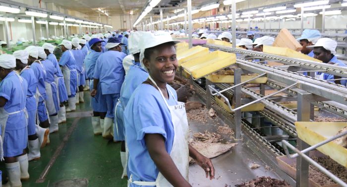 Soltuna proactive against Covid - ABC News