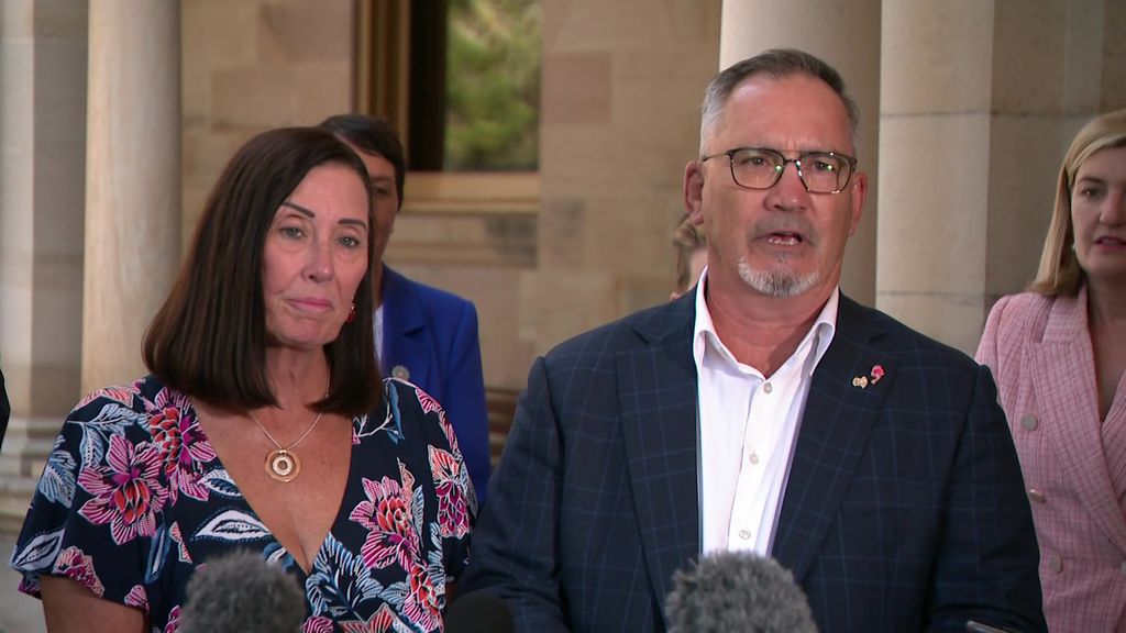 Sue and Lloyd Clarke discuss Queensland's coercive control laws - ABC News