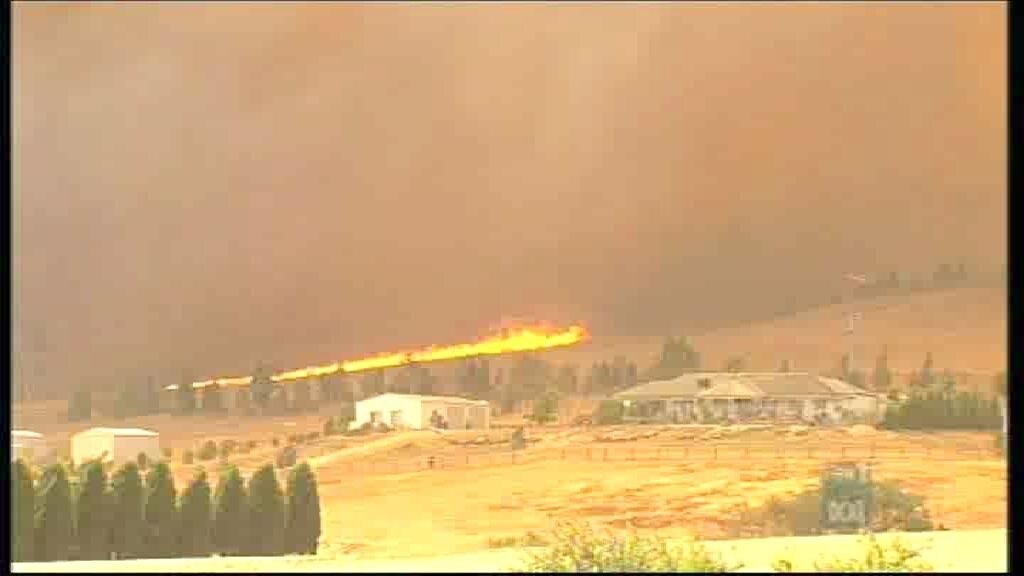 Police baffled by path of bushfire destruction - ABC News