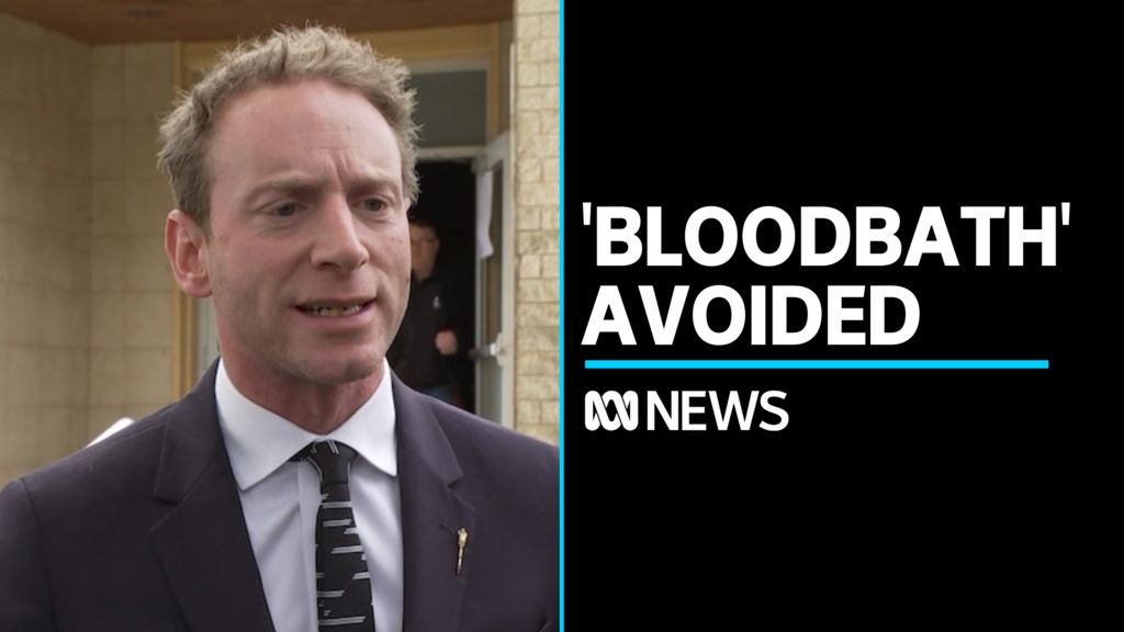 SA Liberal Party avoids 'bloodbath' after election losses, senior ...