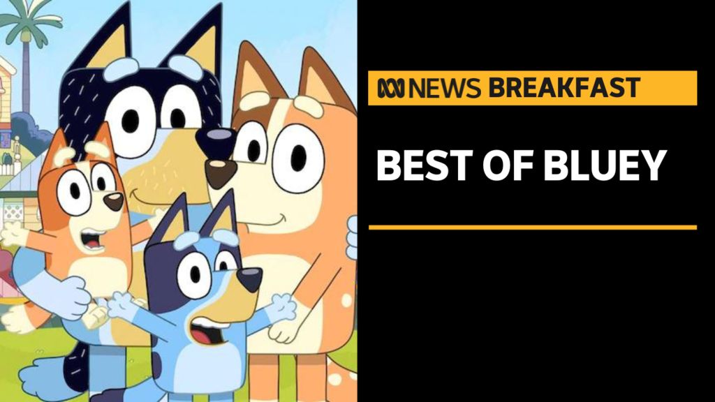 The countdown is on for the top 100 Bluey episodes, as the popular ...