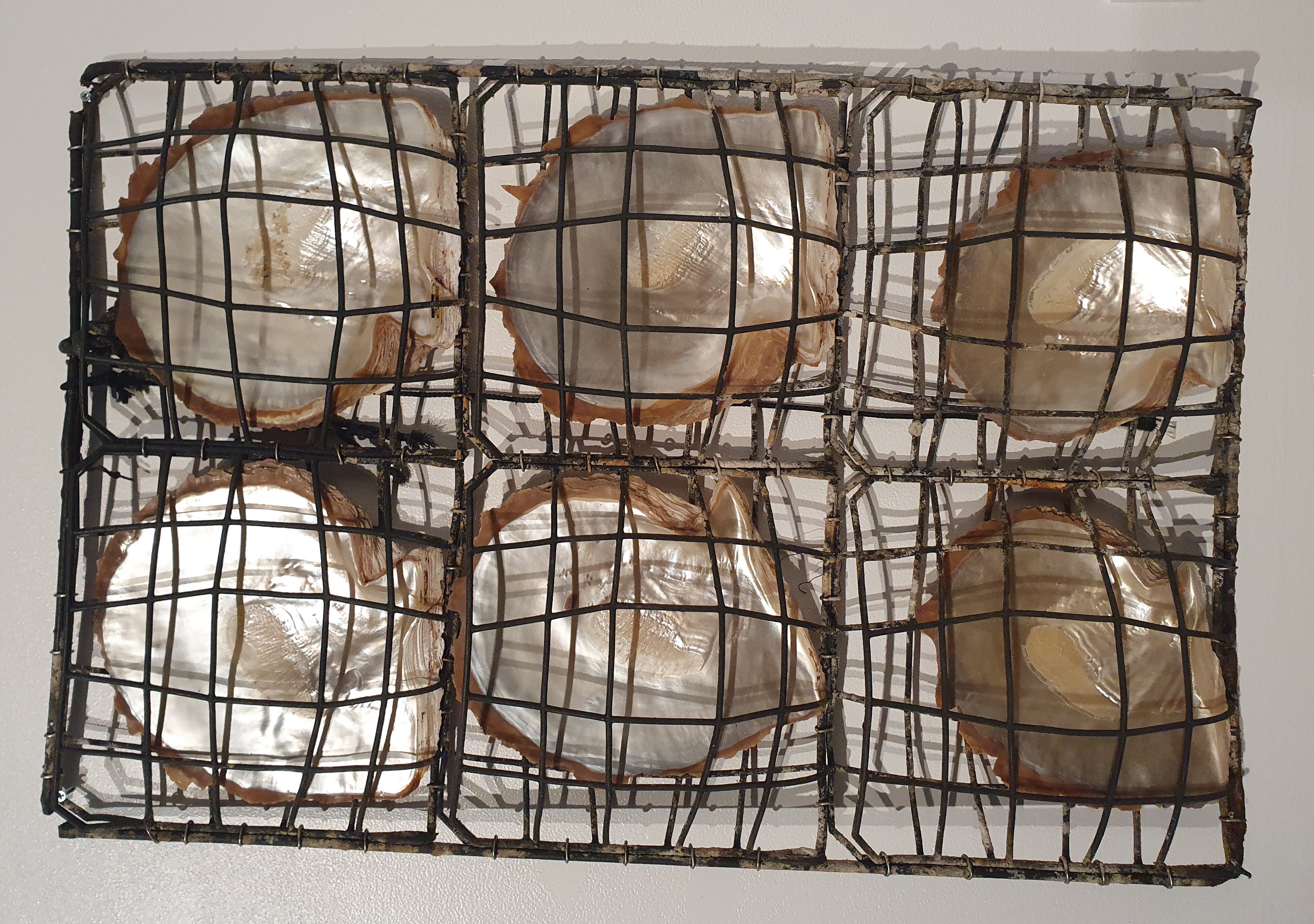 Pearling boats once roamed the seas off Queensland. Crews remember ...