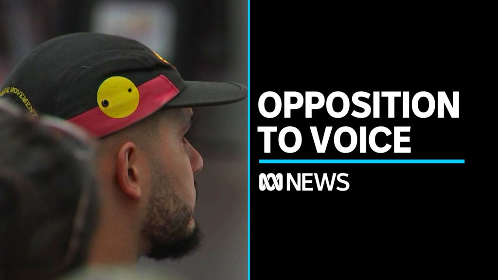 Liberal Party to campaign for 'No' vote on Voice - ABC News