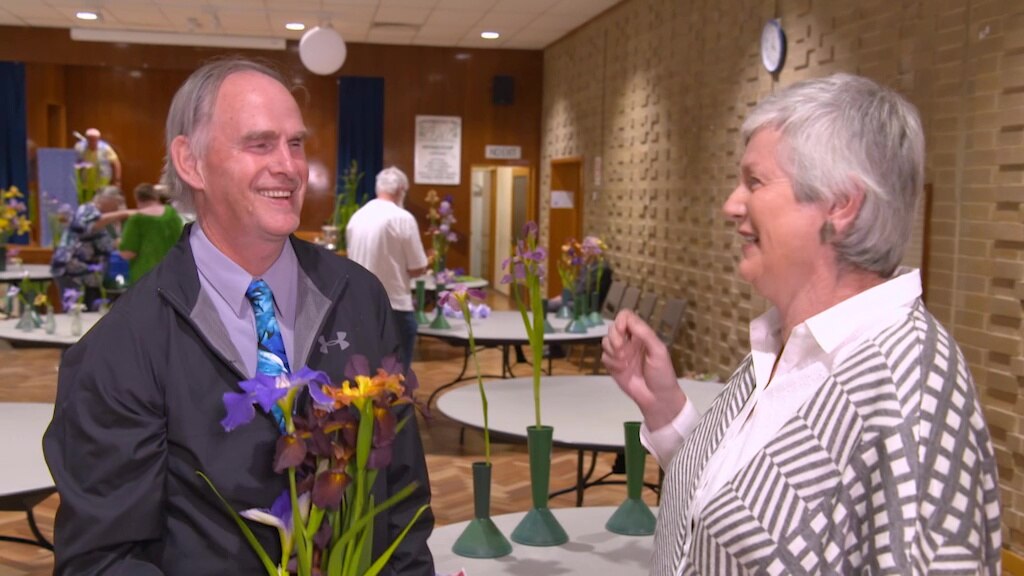 Gardening Australia recap: The calming qualities of bonsai and iris ...