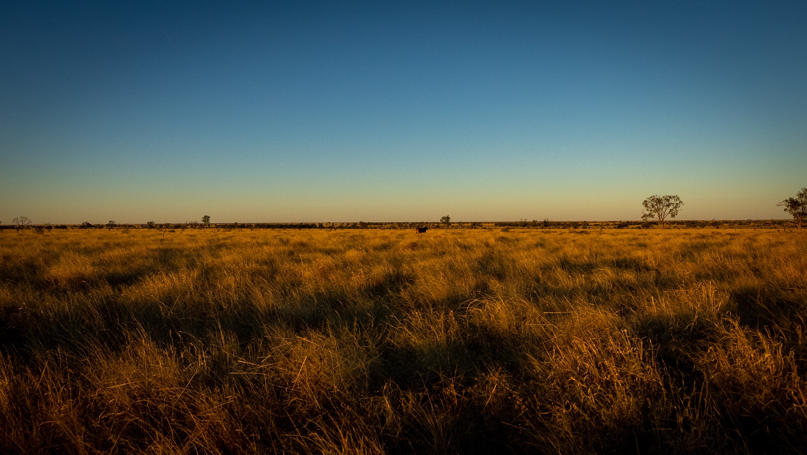 Western Queensland enjoys 'amazing' season, young people returning ...