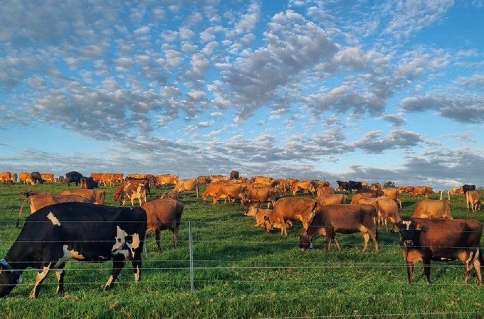 Victorian Country Hour - ABC Radio