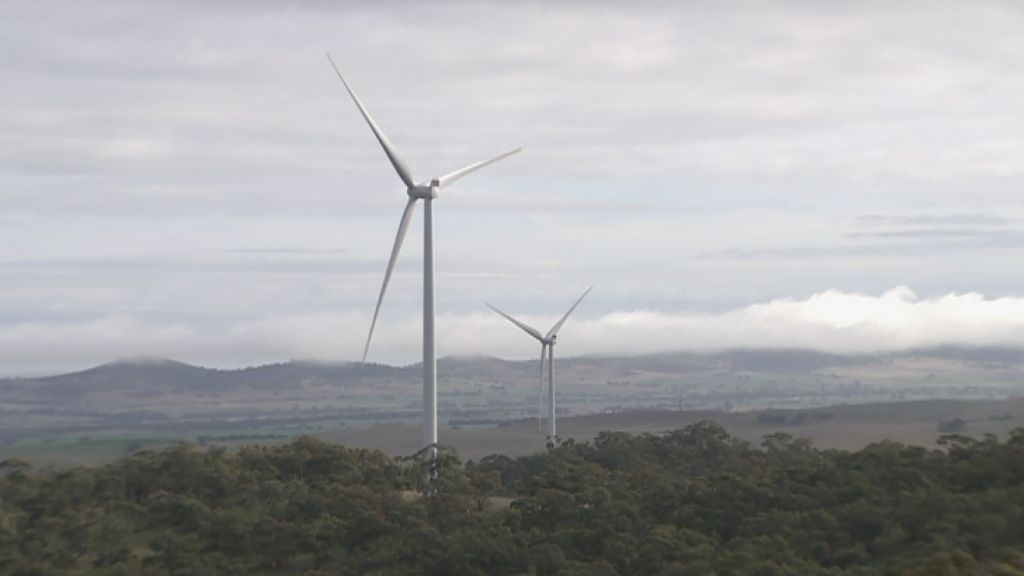 SA Premier calls for state initiatives if Federal Government abandons a ...