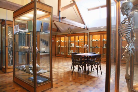 The mystery of Narrabeen Man: a 4000 year old cold case - ABC listen