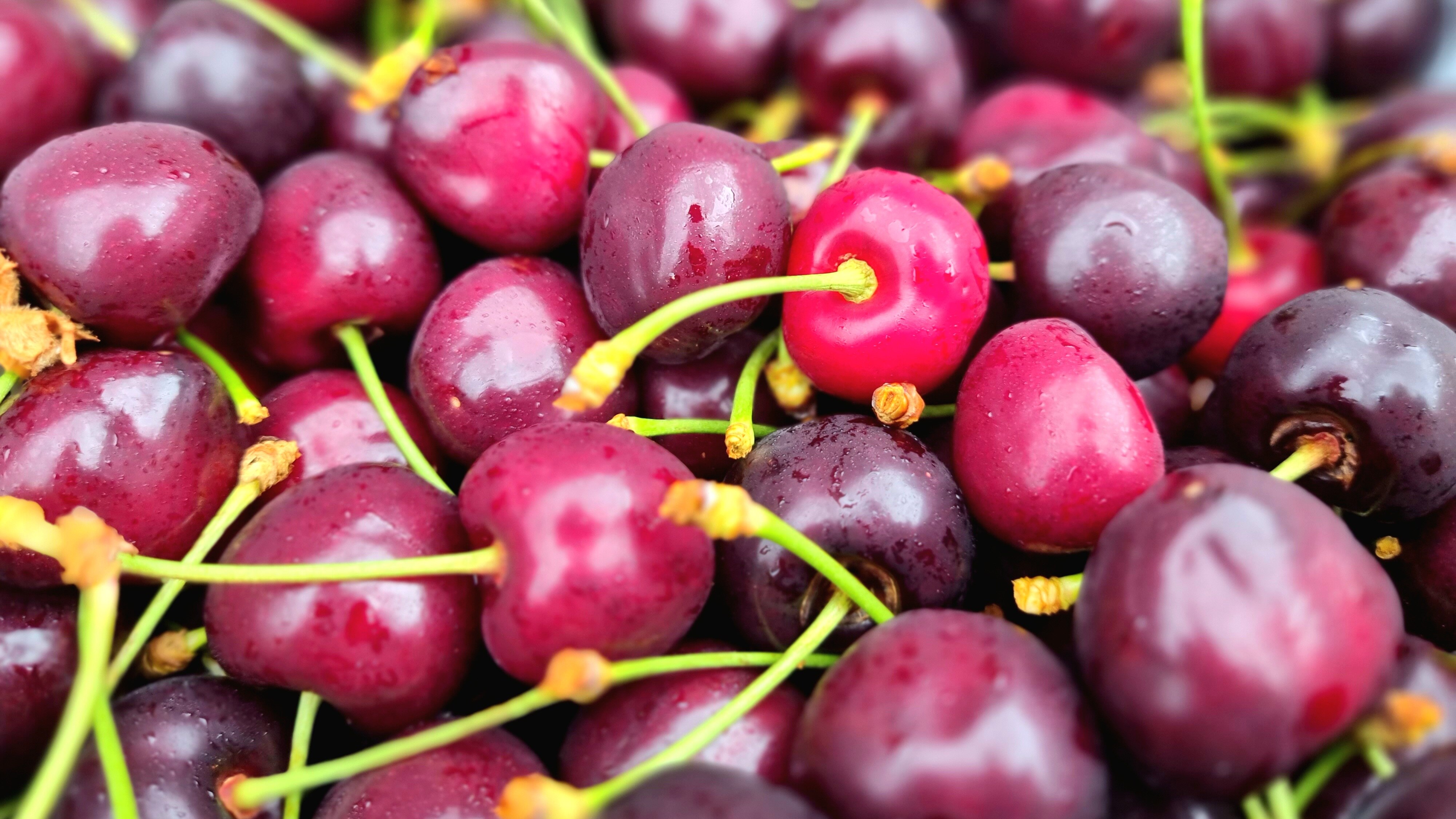 Yeomans family steers Greenhill Orchards through 160 years of ...