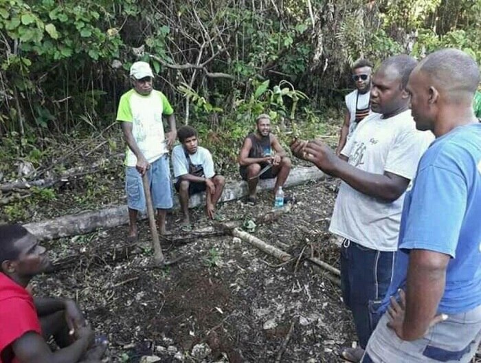 Long Solomon Islands hem garem bigfala interest long kava - ABC News