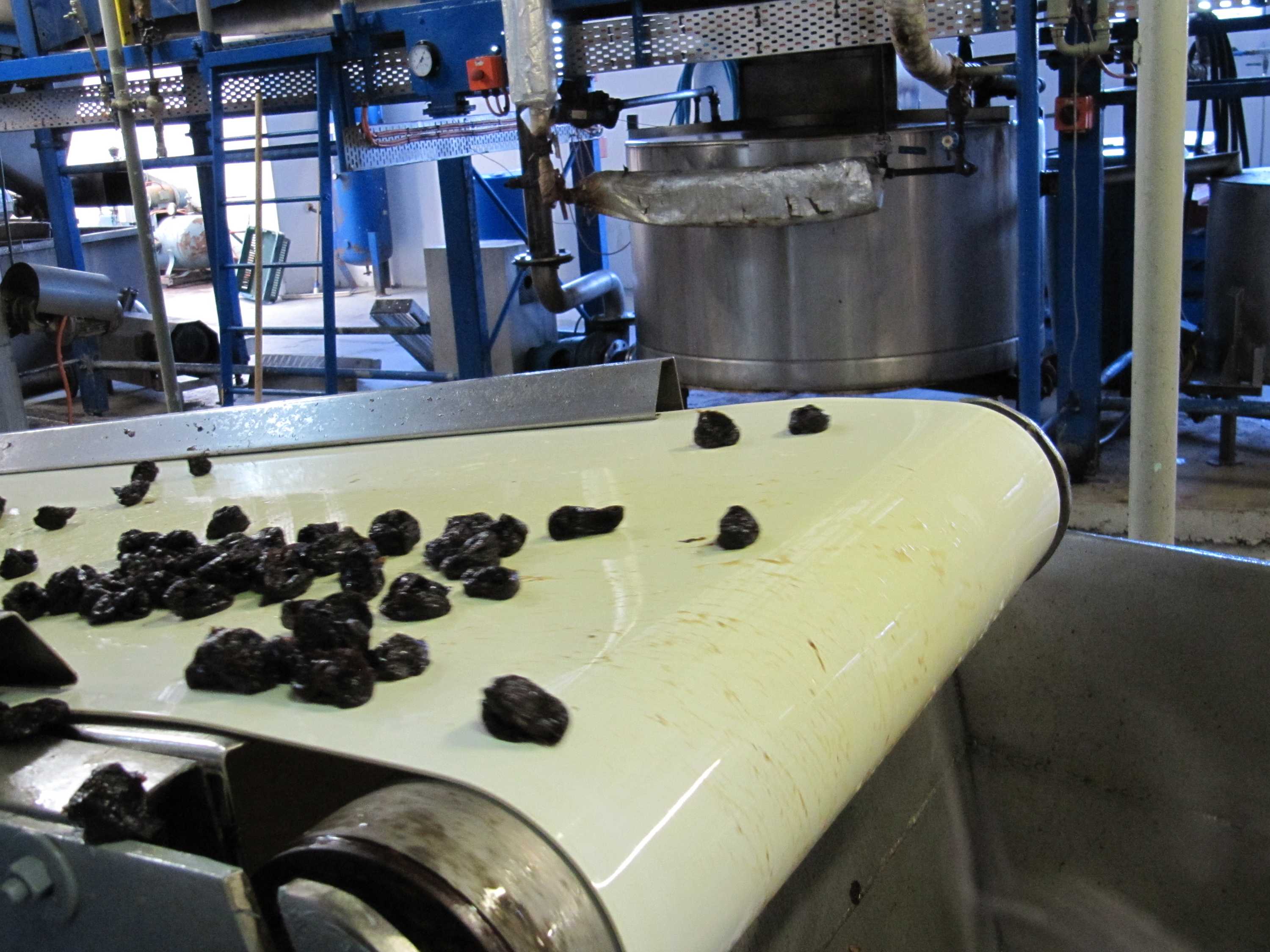 Californian dried fruit processor drives up Australian prune prices ...