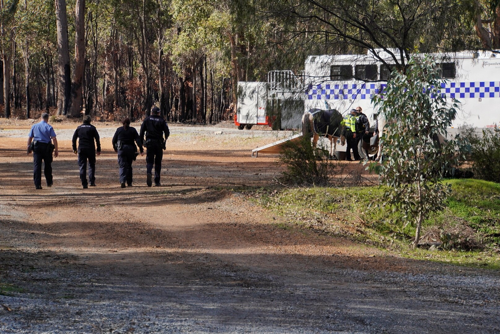 Missing woman Nada Rokic found 'tired and cold' after 'bush doof' south ...