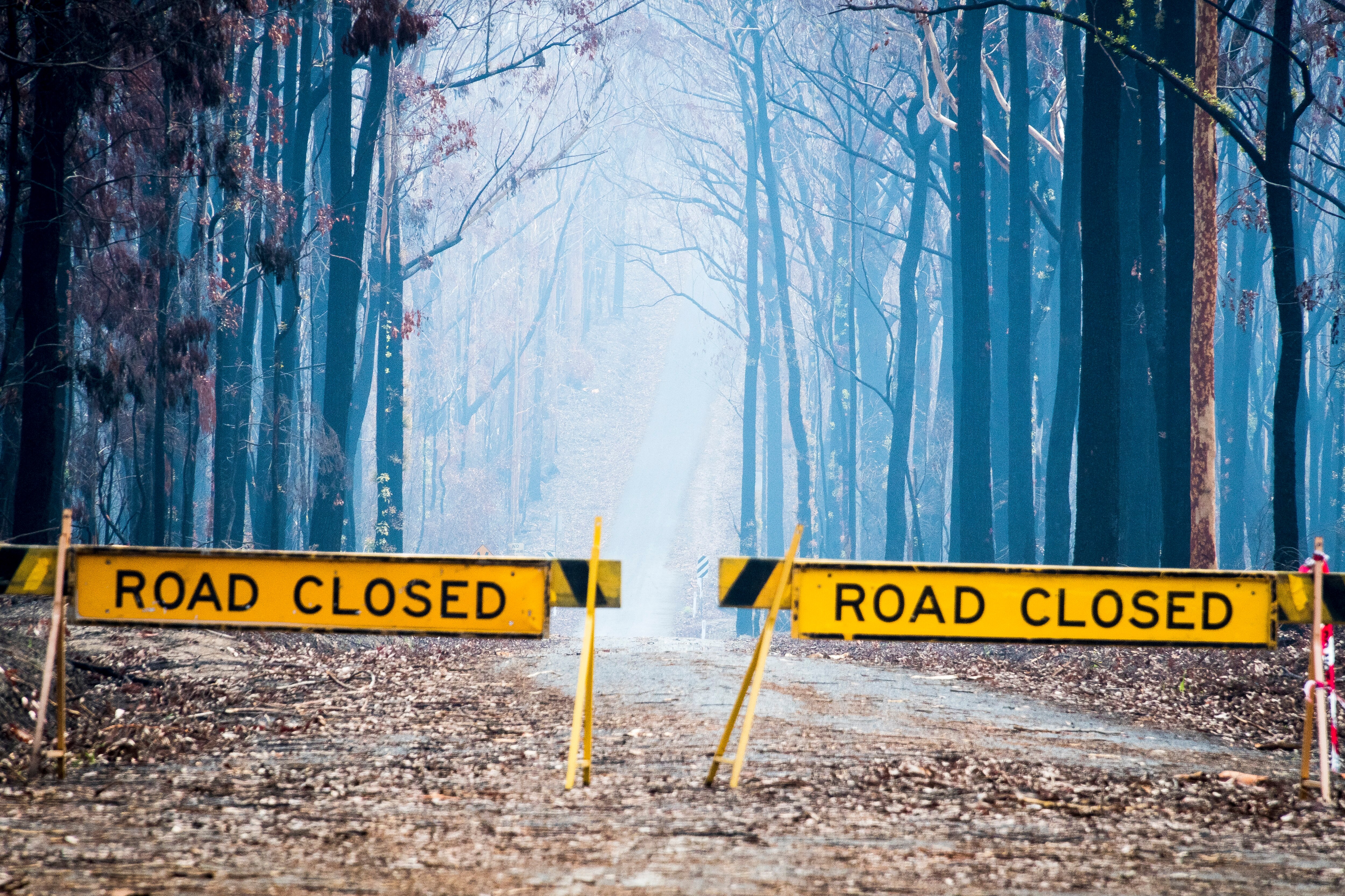 The only way out is through: Embracing the existential weirdness of the ...