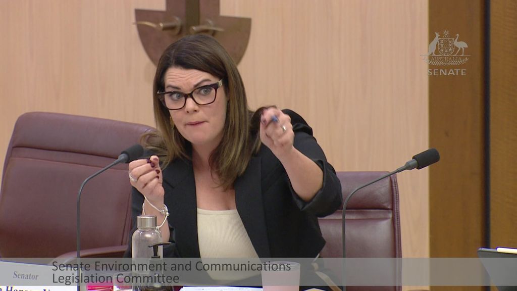 Sarah Hanson-Young clashes with Karen Grogan on Senate committee - ABC News