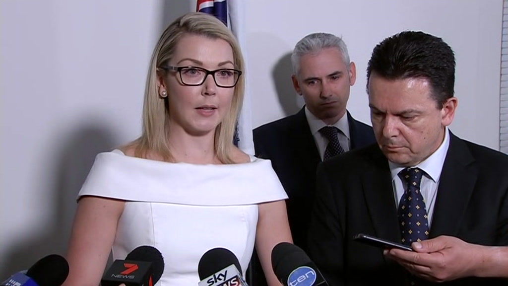 High Court rules former NXT senator cannot replace herself, Tim Storer ...