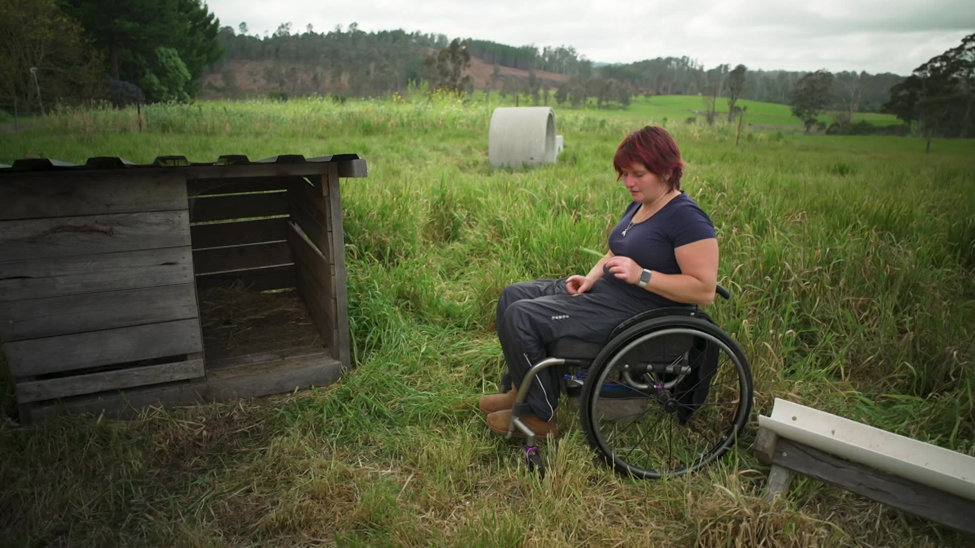 Katherine Reed is a thriving goat breeder, forging a new path in ...