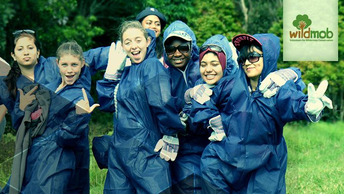 Wild Mob - Behind The News