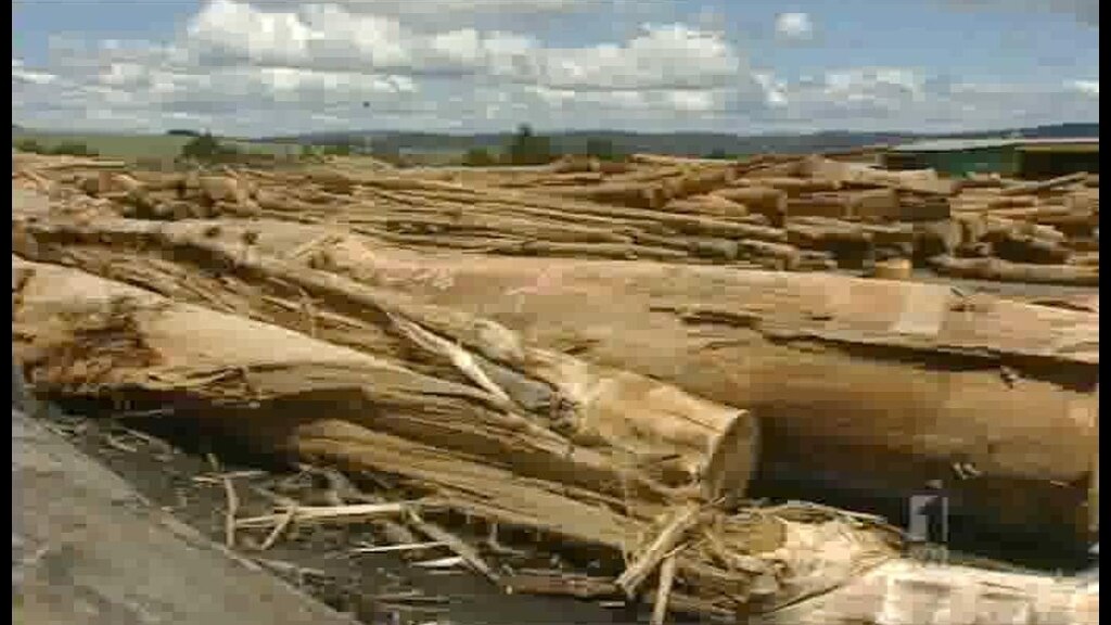 Timber towns want compensation - ABC News
