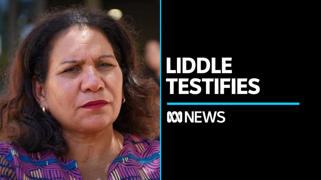 Calls for further investment to reduce domestic violence - ABC News