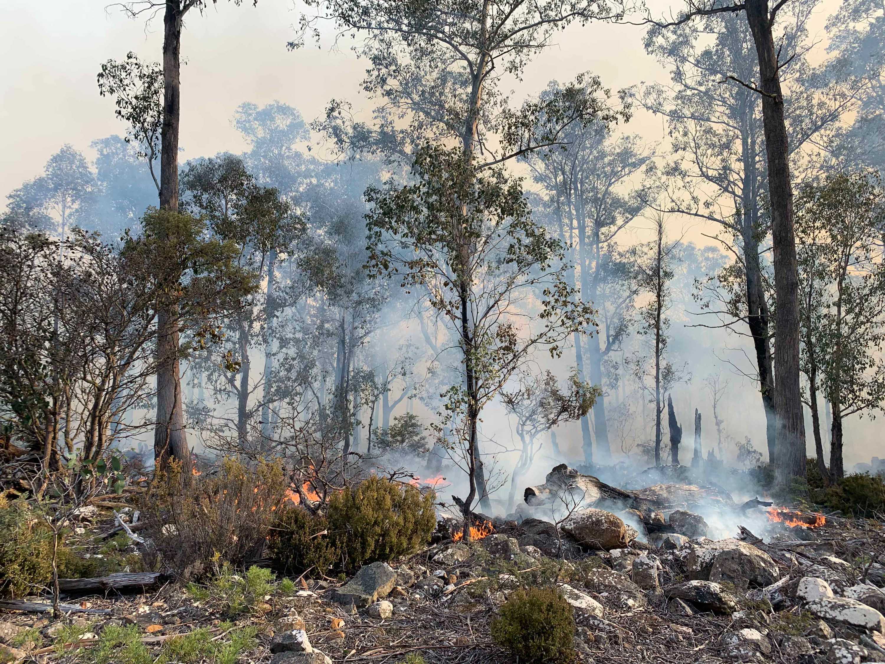 Tasmania News: Fire threats downgraded as weather conditions ease - ABC ...