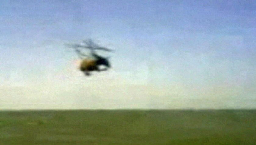 Parachuting donkey scares children - ABC News