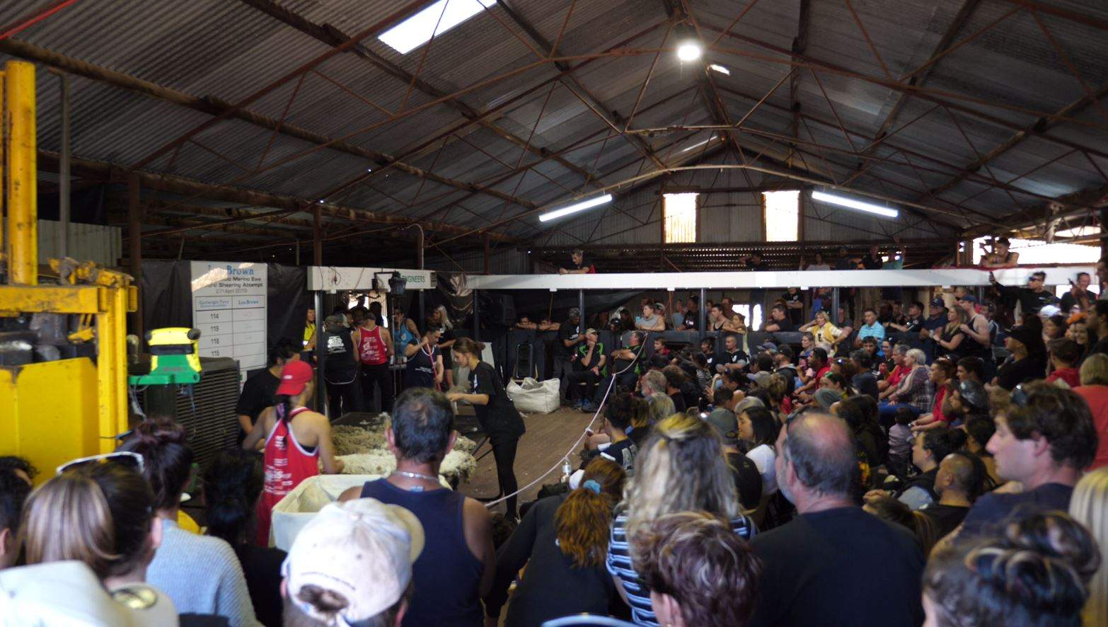 World record 'Everest of shearing' conquered as 16-year-old title ...