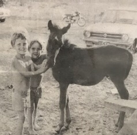 My Territory Childhood Peter Maley - ABC listen