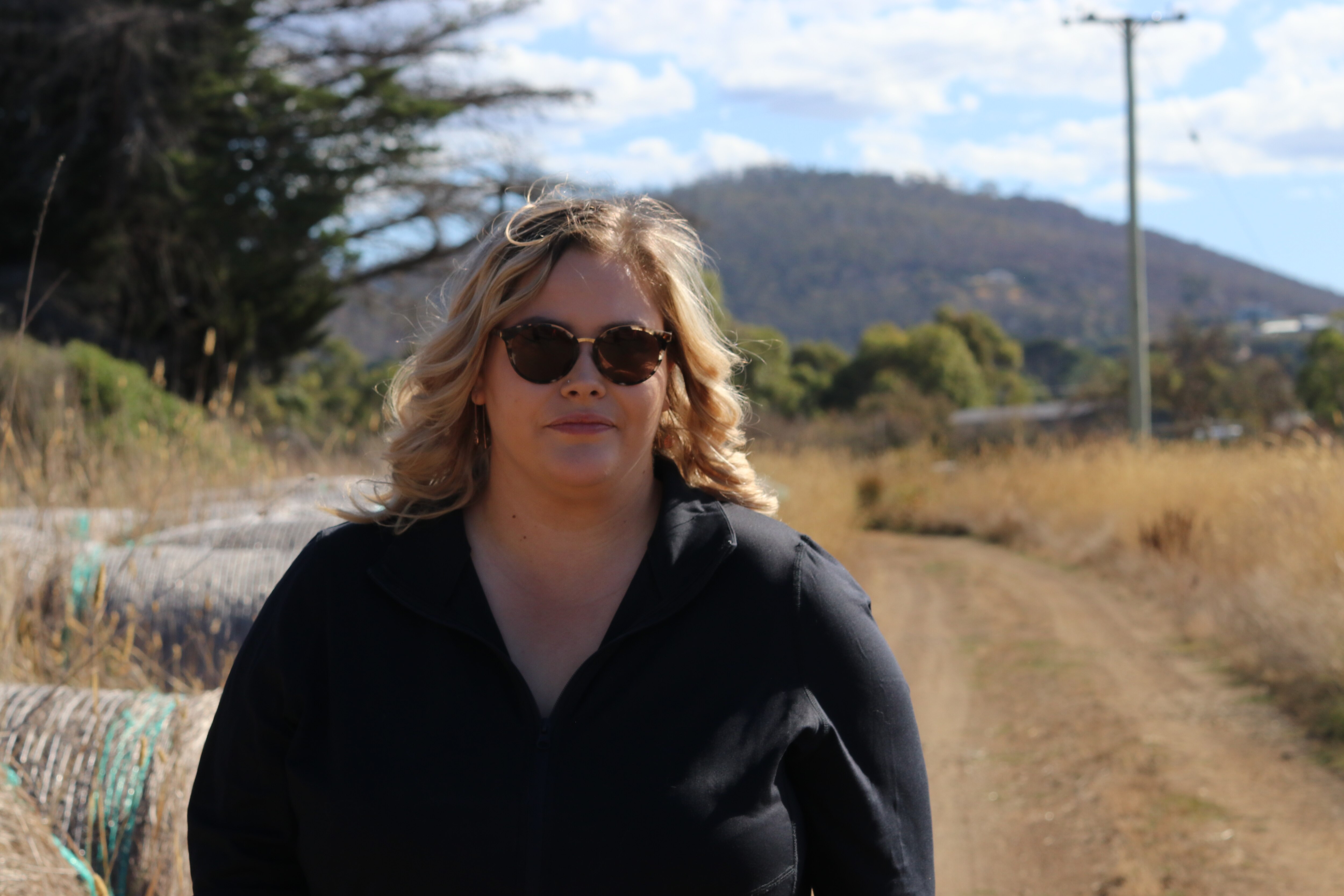 Heartbreak, anger on social media over horses once owned by former Tasmanian attorney-general ...