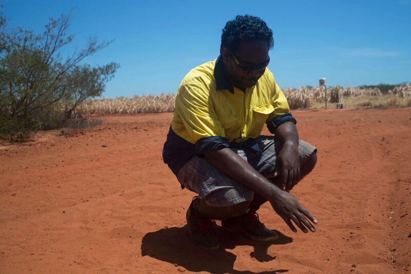 Call to expand Indigenous rangers program - ABC News