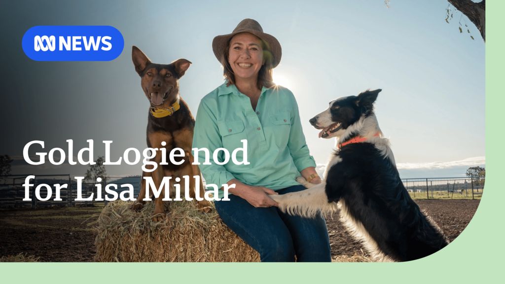 Lisa Millar nominated for 2025 Gold Logie Award - ABC News