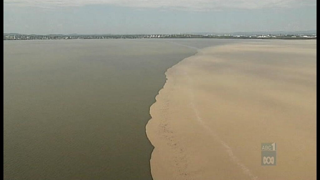 Flood rubbish swamps Qld's Moreton Bay - ABC News