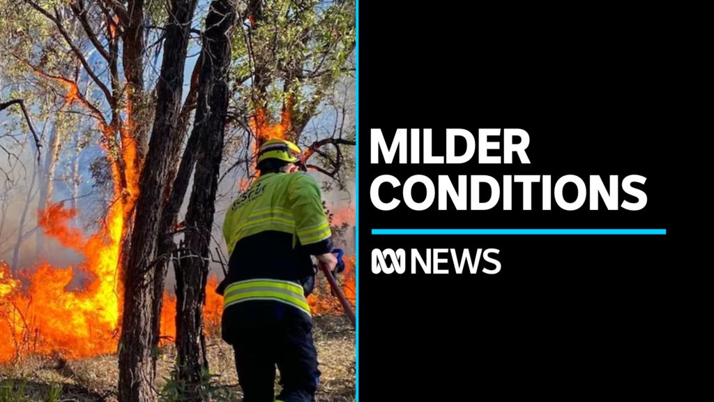 Mild conditions help fire crews battle blazes in northern NSW - ABC News