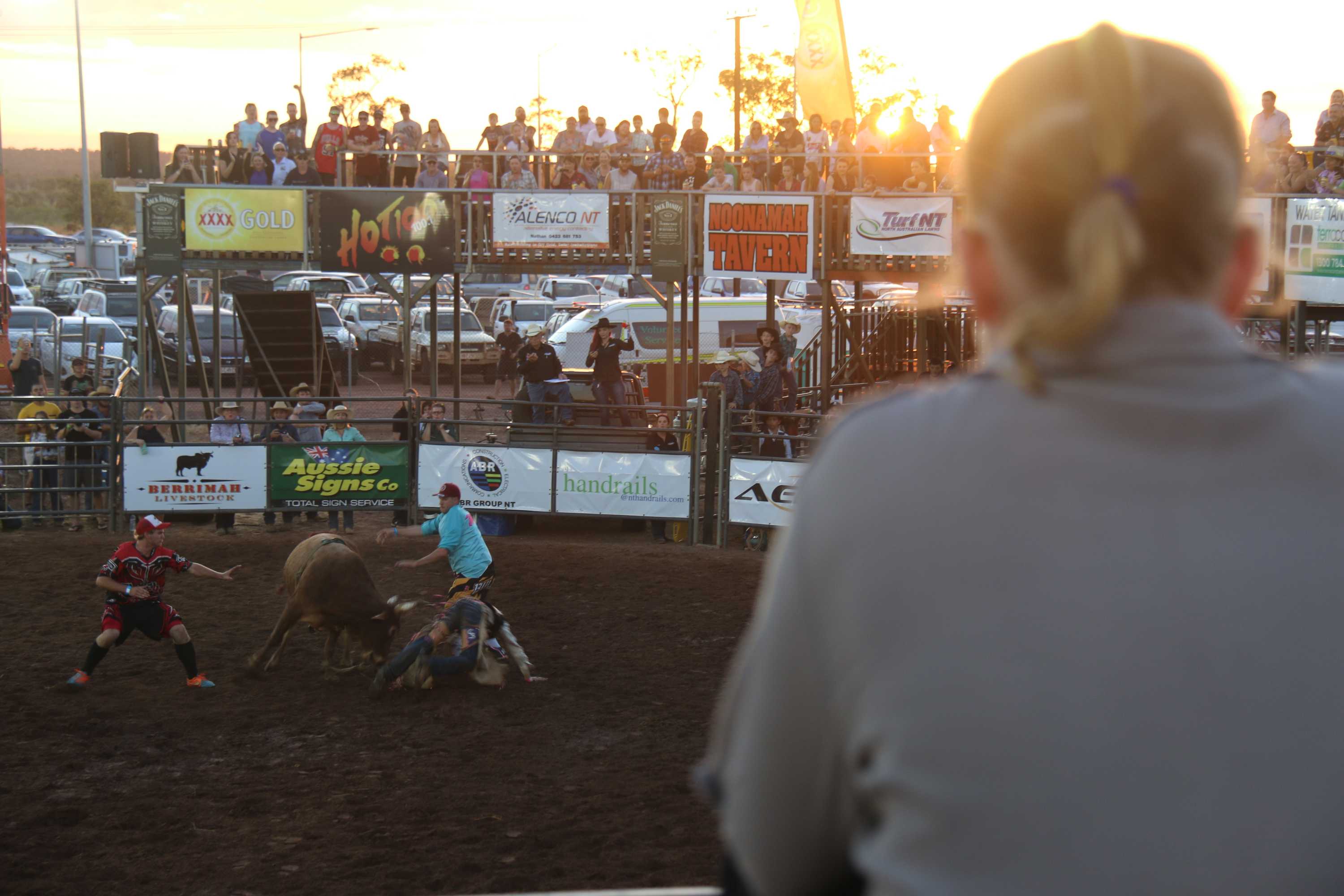 Guns N' Roses, Top End's most notorious bull, still king after Darwin's ...