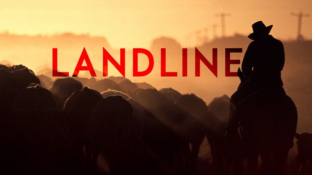 Tandou boasts bumper cotton harvest - ABC News