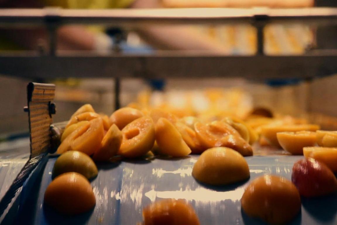 Concern over SPC assistance grant - ABC News