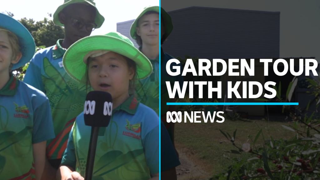 NT Primary school kids take you through their veggies in garden tour ...