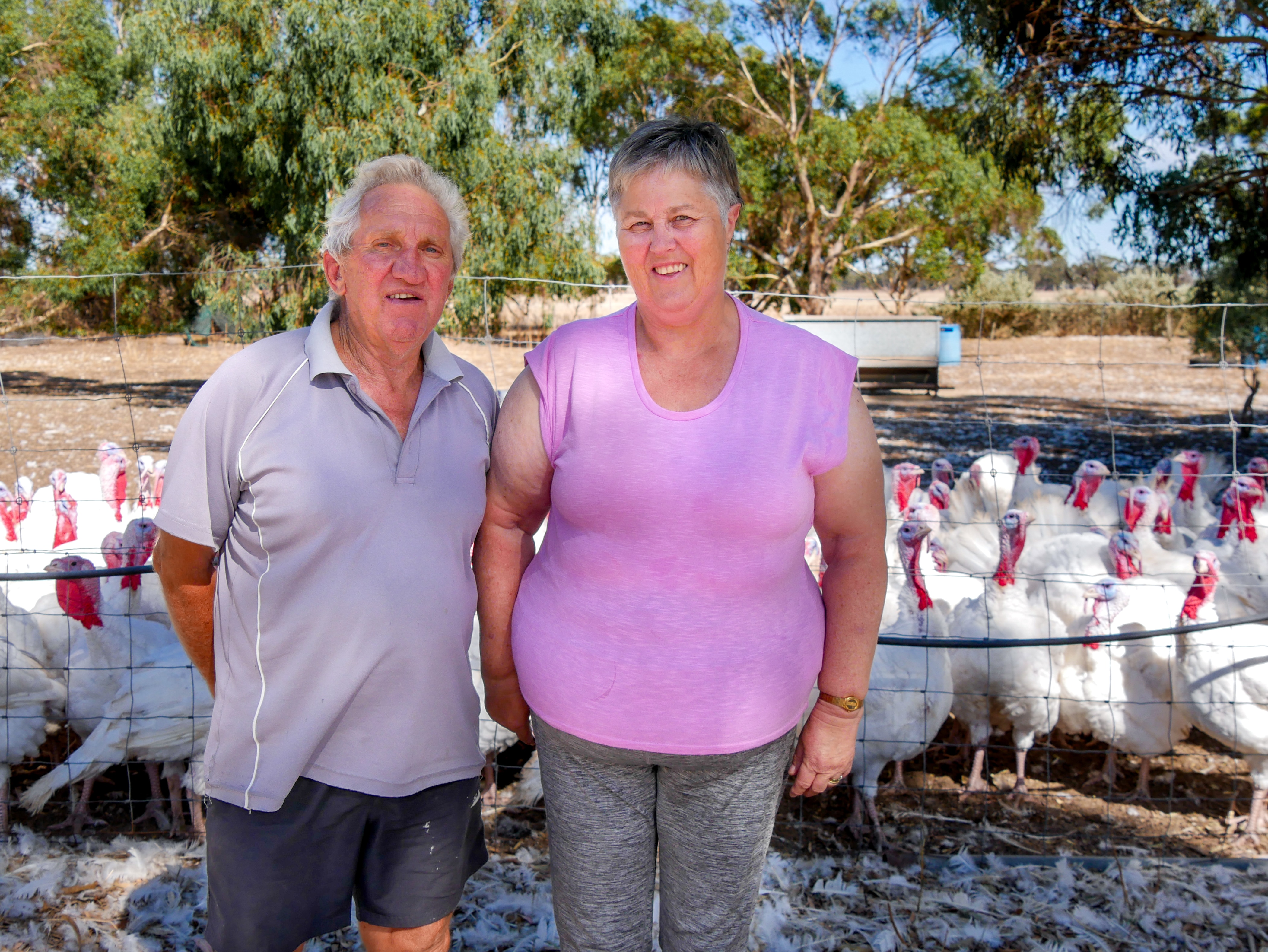 South Australia turkey farm, Pooginagoric Free Range Turkeys, is on the ...